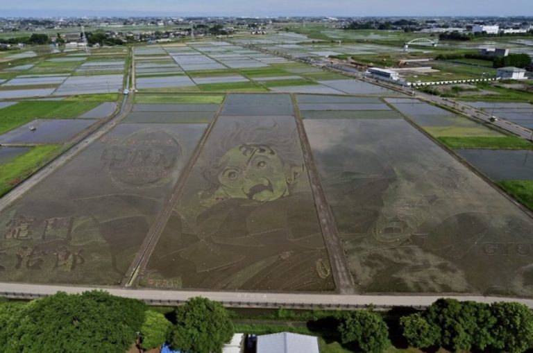 Tanjiro Emerges in the Fields as Gyoda Unveils 2025 Rice Paddy Art ...