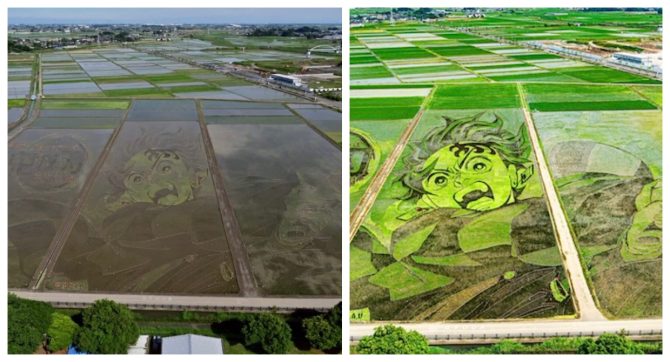 Tanjiro Emerges in the Fields as Gyoda Unveils 2025 Rice Paddy Art ...
