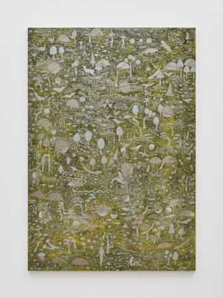 Flora and Fauna Unfold in the Multi-Layered Paintings of Nana Funo ...